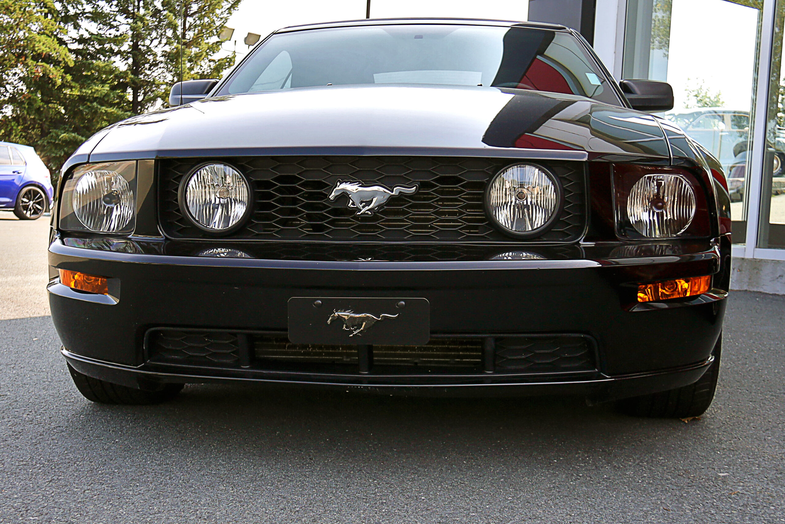 Mustang GT – EXO Automobiles