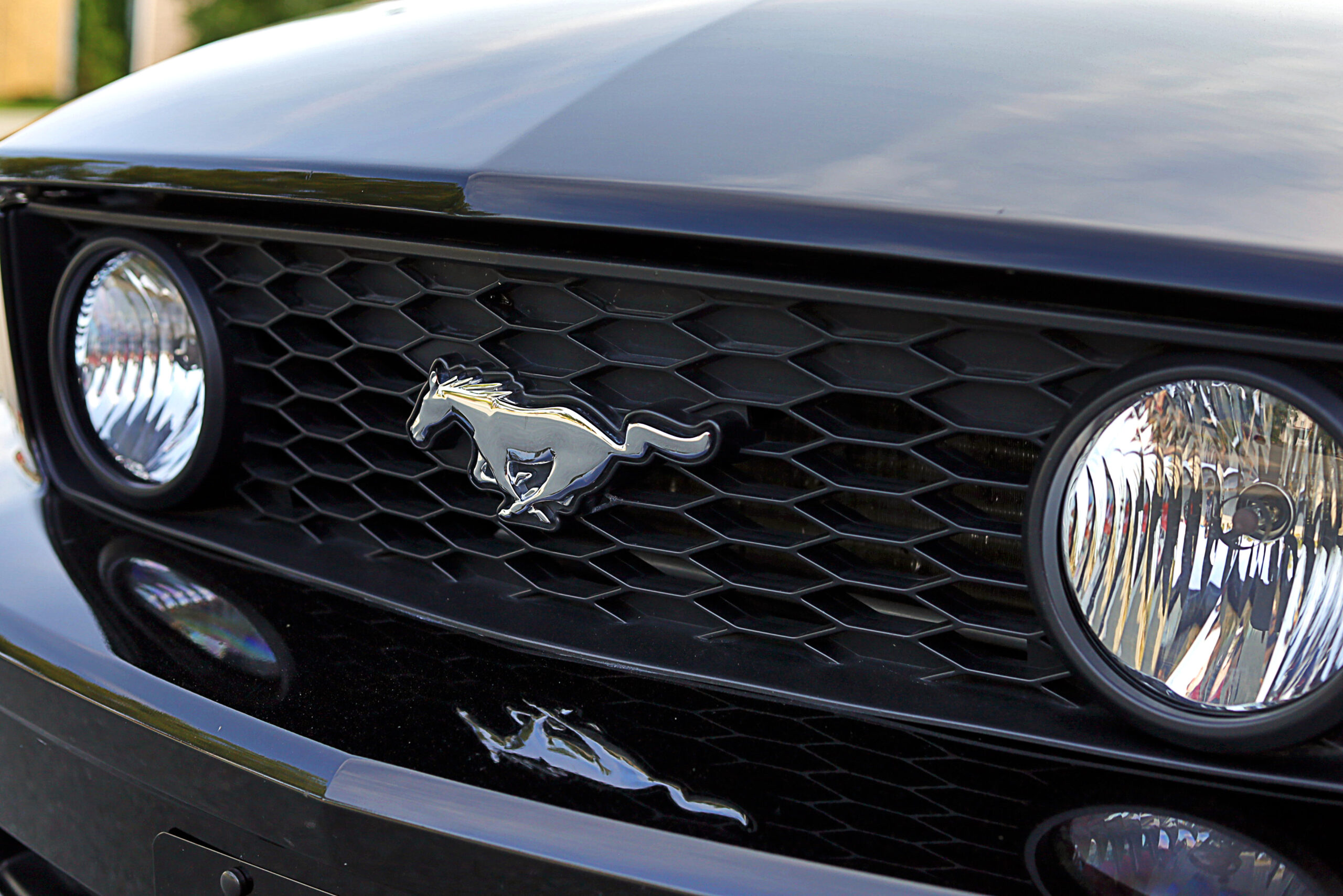 Mustang GT – EXO Automobiles