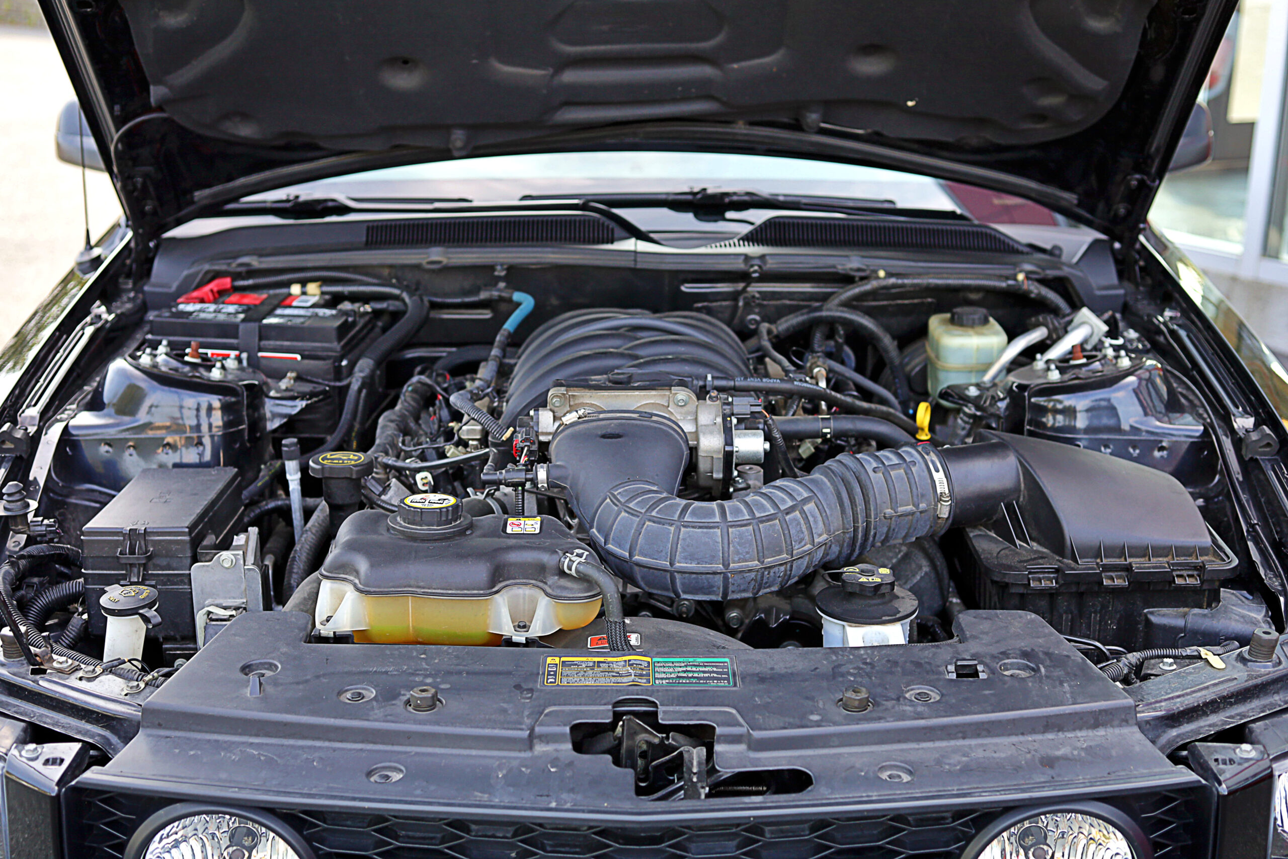 Mustang GT – EXO Automobiles